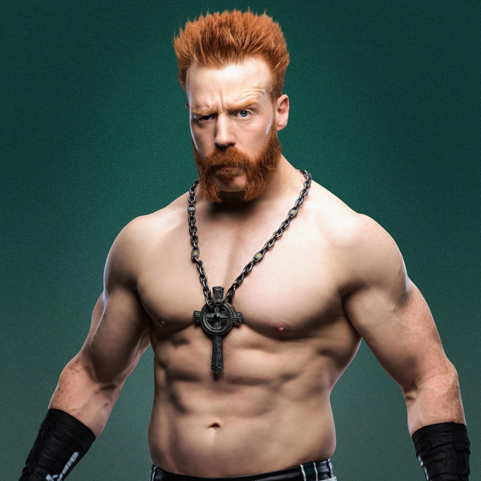 Report: WWE Planning Sheamus To Become First-Ever Ultimate Grand Slam Champion With ...